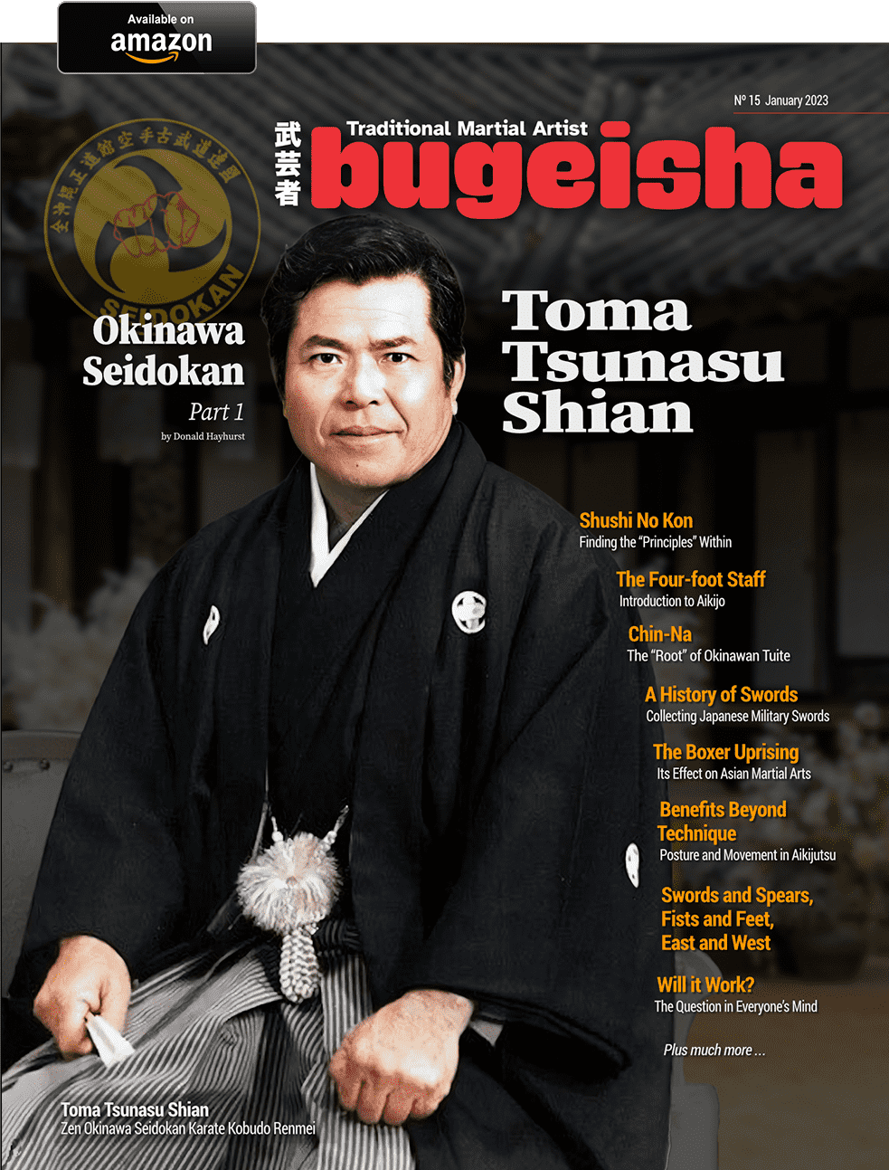 Bugeisha – Traditional Martial Artist